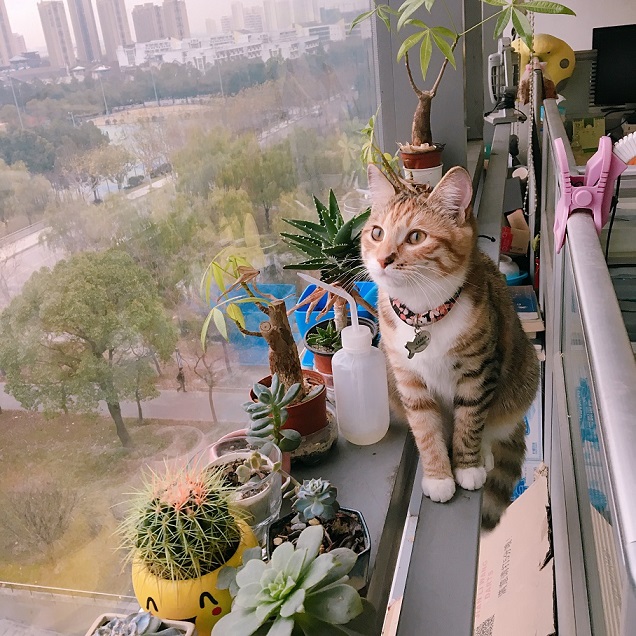 董延超 | Laboratory of Advanced Measurement & Control Technology